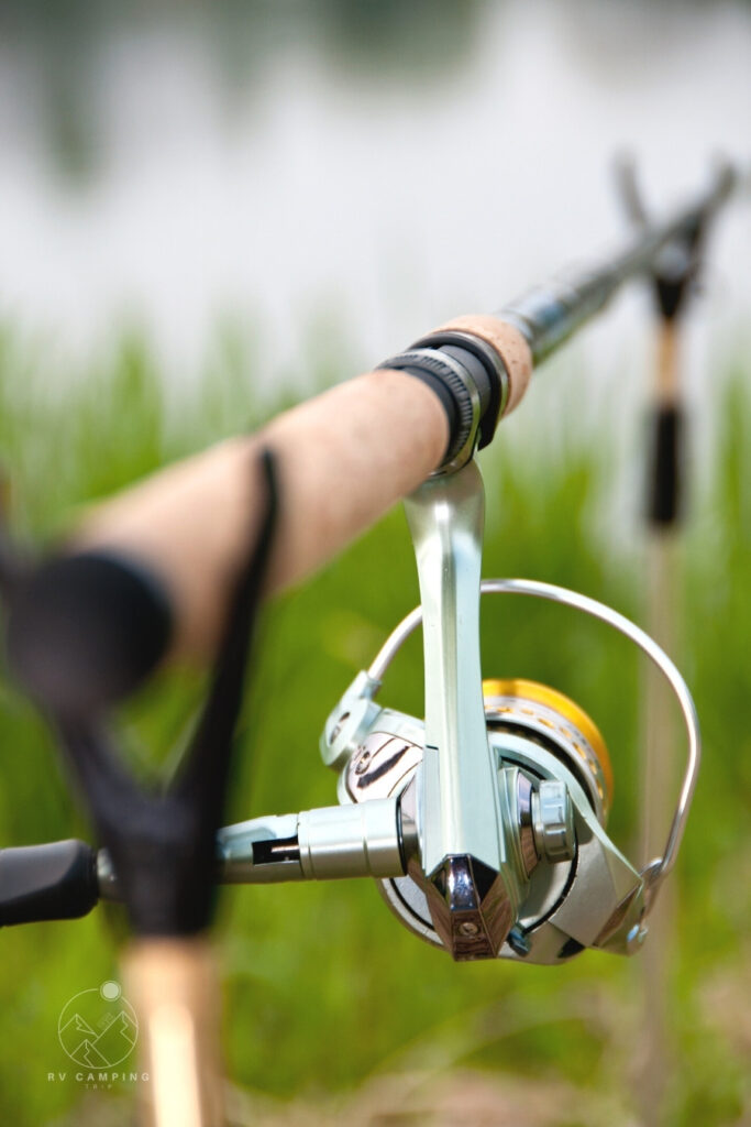Basic Fishing Gear Needed to Get Started | RV Camping Trip