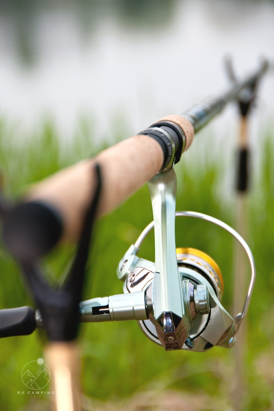 Basic Fishing Gear Needed to Get Started | RV Camping Trip